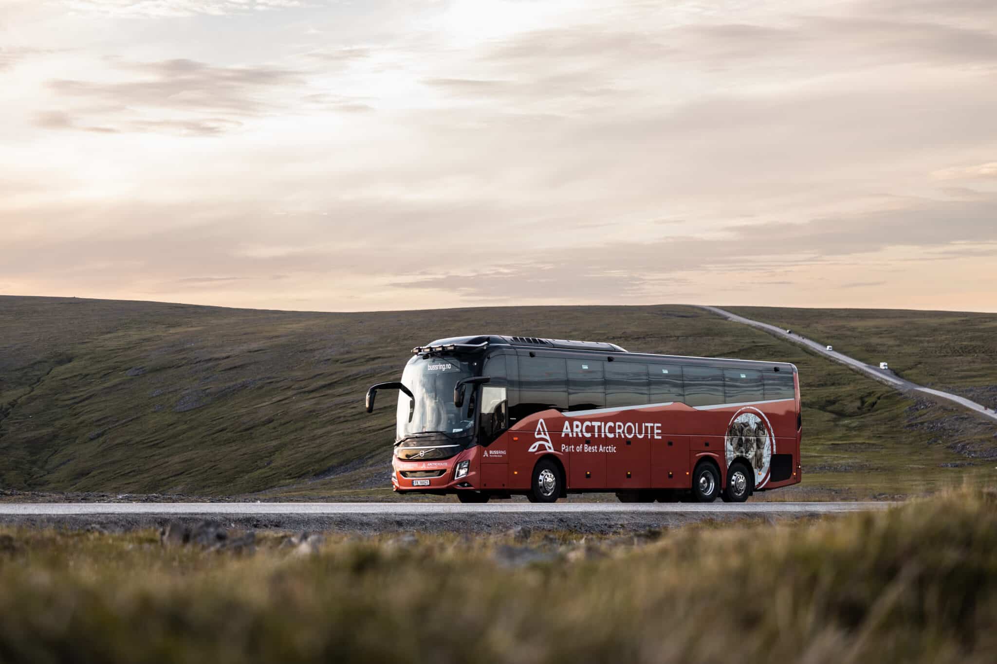 Summer bus from Tromsø to Sommarøy | Best Arctic